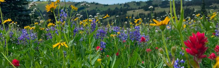 Maps & Stats - Manning Park Resort
